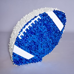 Blue/White We've Got Spirit Complete Parade Float Theme | Anderson's