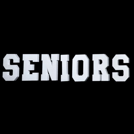11 in. "Senior" Styrofoam Letters | Anderson's