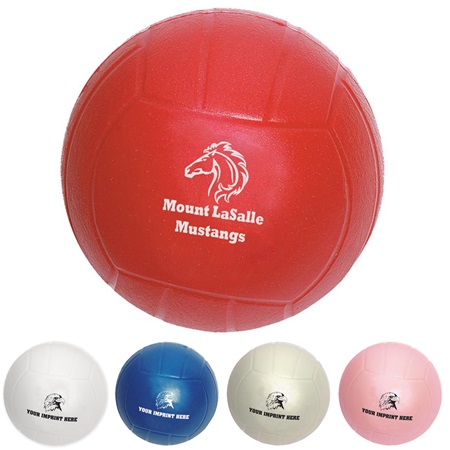 Custom Mini Volleyball | Anderson's