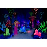 Fairytale and Fantasy Prom Themes - Prom Decorations | Anderson's