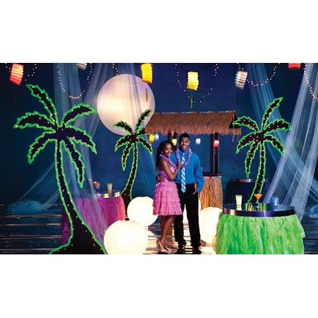 Complete Party in Paradise Theme | Anderson's