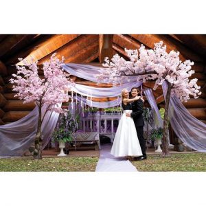 How to Plan an Outdoor Prom - Anderson's Blog